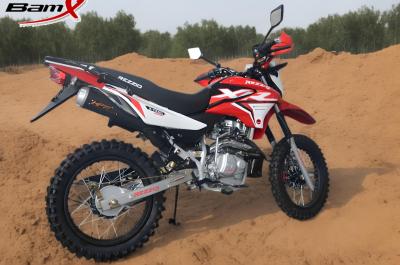 Cina l'ammortizzatore doppio elettrico della bici di sport di 200cc 2.5l, denti profondi va in automobile lo sport doppio in vendita