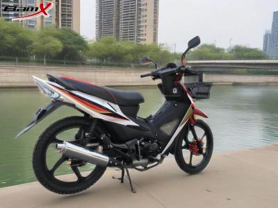Cina 110cc RED/BLACK/AUTOMATIC Cub Motorcycle Damping idraulico Sospensione anteriore Trasmissione a 4 velocità in vendita