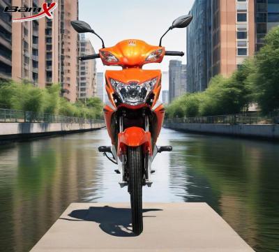 China 5kw 8000rpm Matte Black Street Bike Sportbike Crystal Lamp Rear Rack 110cc Automatic Dirt Bike for sale