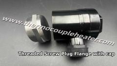 Custom SS304 Threaded Screw Plug Flange for Immersion Heater with Matching Plastic Cap