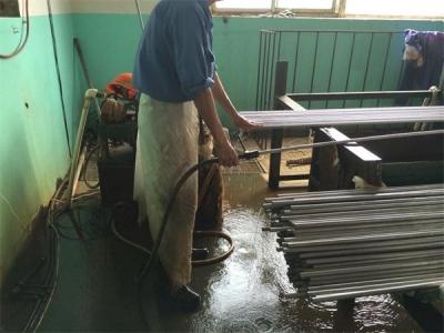 Cina Tubo senza cuciture TP316/TP316L dell'acciaio inossidabile di ASME A270 per biologia in vendita