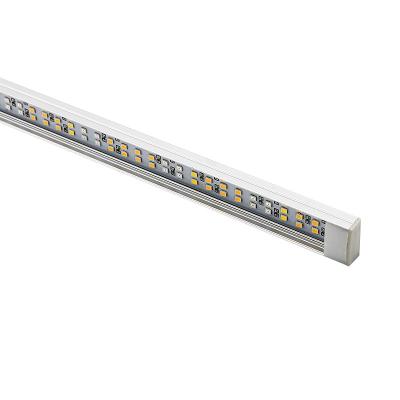 China New LED Sunlight Full Spectrum Double Light Plant Grow Light Strips Light for Indoor Plants for sale