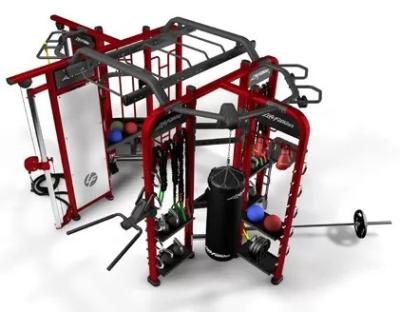 China Professionele van het de Gymnastiekmateriaal van de Synergismegeschiktheid Multi Functionele 360 Geschiktheidsmachine Te koop