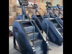 De stationaire Machine van de de Tredeklimmer van de Gymnastiekgeschiktheid 30 Graden Hellingstype