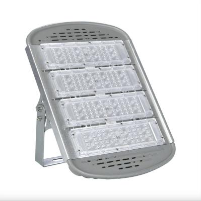 China LED Street Lights Christmas Snow Street Lights Tunnel Floodlights IP65 Waterproof Rating 100W Color Temperature: 3000-6000K for sale