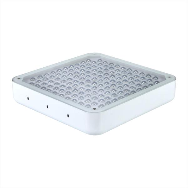 Quality LED Explosion-Proof IP65 Gas Station Ceiling Light 100W Emergency Lighting with for sale