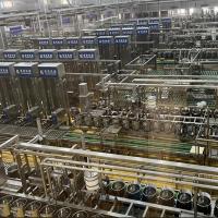 China Standard Packaging Tofu Processing Equipment for Continuous Unmanned Production for sale
