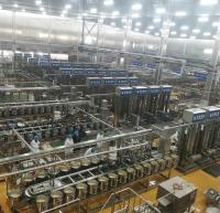 China Fully Automatic Bean Product Processing Machine for Commercial Tofu Production Line for sale