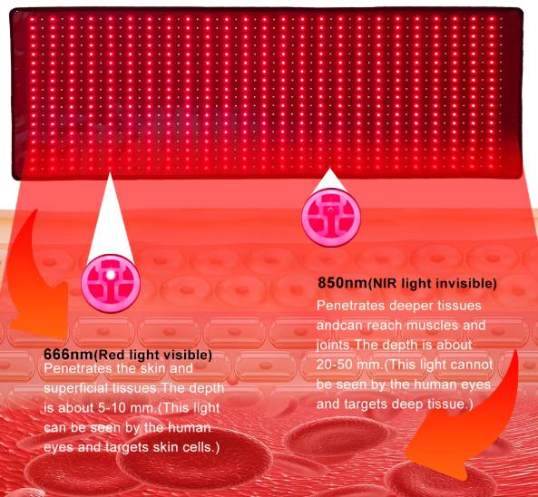 Quality HSY-TW01280 Full Body Wellness Red & Near-Infrared Light Therapy Fabric Mat for sale
