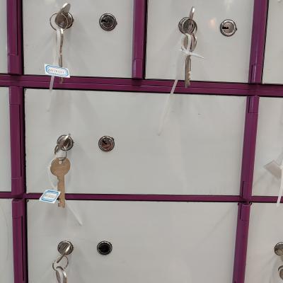Cina Cassetta di sicurezza dell'OEM Private Bank con la porta rivestita della polvere ss in vendita