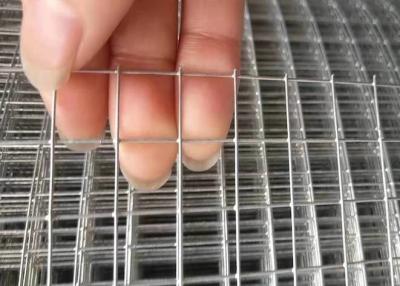 Cina il PVC della maglia del filo di acciaio a basso tenore di carbonio del rotolo di 30m ha saldato la rete metallica in vendita