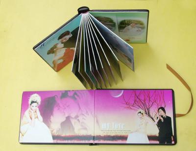 Cina Pagine resistenti della ricarica dell'album di foto del supporto di vampata di pollice 10x16 della muffa in vendita