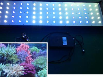 China 180w Reef Aquarium Led Light Edison Aluminum 6800 Lm Light For Reef Coral Growth for sale