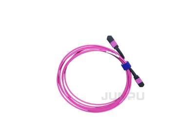 China 40G Fiber Optic Patch Cord 8/12/24 Cores SM / MM / OM3 MPO Fiber Patch Cord for sale