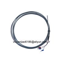 China PTFE PT100 Temperature Probe for Acid Heating for sale