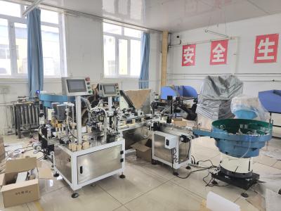 China Fully Automatic Bottled Toothpick Packing Line With Bottle Feeding Filling And Capping Functions for sale
