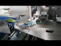 3KW groente en Fruitverpakkingsmachine Horizontaal Vergelden