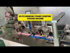 1 - 100 Pieces Straws Automatic Counting And Packing Machine 220V 3KW