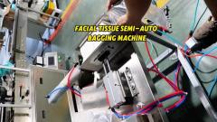 Low Price Facial Tissues Semi-auto Bagging Sealing Machine