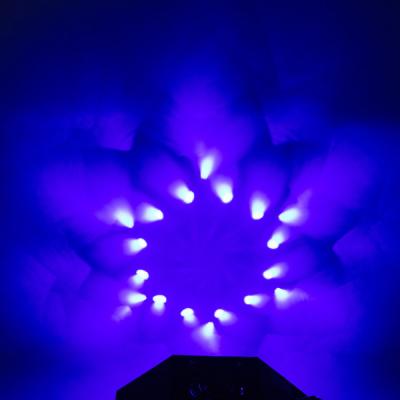 Cina Fascio par del DJ di vortice della fase di luce del carrello dell'occhio dell'ape di RGBW 18x12W LED in vendita