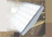 China Multi Function Solar Powered Outdoor Lights 2 In 1 White 2835 SMD for sale