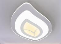 China Creative 220V Led Surface Mount Ceiling Lights Led Panel Light 3000k Leaf Shaped for sale