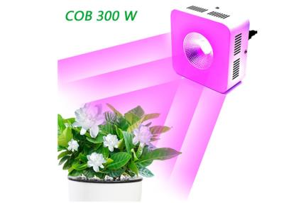 China 600mA COB Full Spectrum LED Grow Lights 300 W Dustproof 50,000 Hours Lifespan for sale
