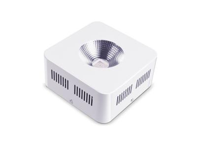 China 600mA COB Full Spectrum LED Grow Lights 300 W Dustproof 50,000 Hours Lifespan for sale