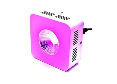 China 600mA COB Full Spectrum LED Grow Lights 300 W Dustproof 50,000 Hours Lifespan for sale