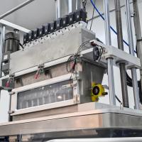 China High Speed Multi Lane Packaging Machine Powder Sachet Packaging Machine 240Bags/Min for sale