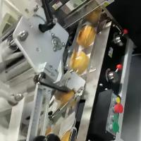 China Nitrogen Flushing Pillow Type Packing Machine 2.6KW Pouch Filling And Sealing Machine 220V for sale