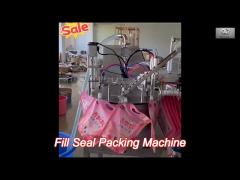 2kw rotary pouch filling machine servo magnetic pouch filling sealing machine