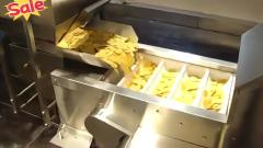 Multi Heads Large Vertical Packing Machine
