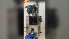 Triangle Bag Granule Packaging Machine QNGP-EXK61