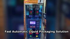 Automatic Liquid Filling & Packaging Machine QNLP-DJ350