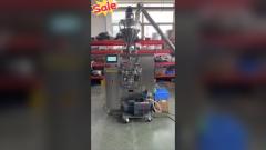 Rotary Prefabricated Bag Powder Packaging Machine