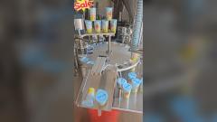 Dual Head Paste Liquid Filling Sealing Machine