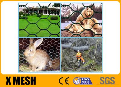 China Plain Weave Poultry Mesh Netting Chicken Wire Mesh Fence 1.5m X 25m for sale