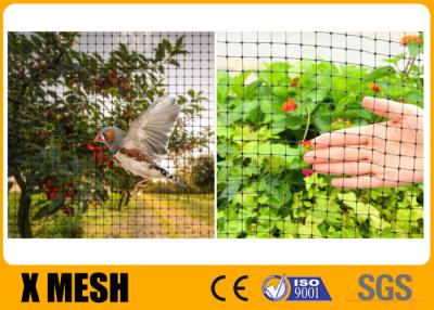 China UV-bestand Plastic Mesh Net 4m breedte door 12m lengte 5 jaar gebruik levensduur Te koop