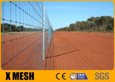 China O gado prende a cerca ASTM A121 do campo do rolo de 330 Ft fixou o nó à venda