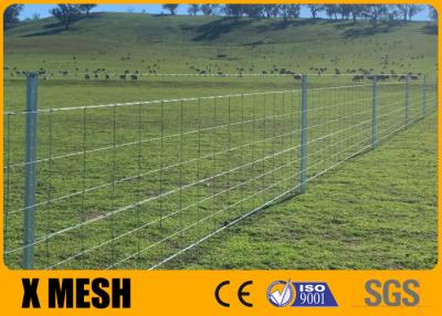 China ASTM A121 Metal Farm Fence 1200 Mpa High Tensile Field Fence for sale