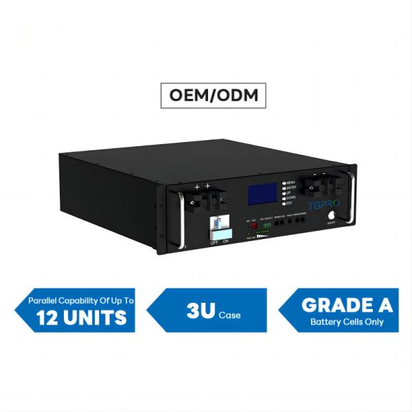 Quality Custom 51.2V 100Ah Lifepo4 Cabinet Lithium Ion Batteries 48V 200Ah Rack Mounted for sale