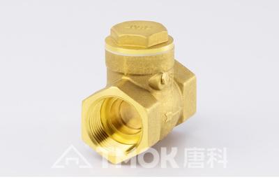 Cina DN20 che inclina la valvola di ritenuta del disco in vendita