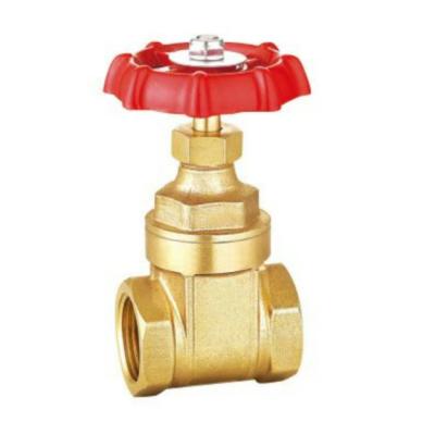 Cina Valvola a saracinesca d'ottone a 3/4 pollici del manuale 19.05MM Dn15 con cavo interno in vendita