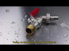 Manual Control Outdoor Water Tap Brass Bibcock Single Handle