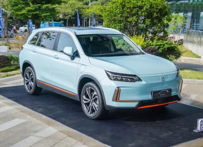 電気自動車 スカイウェルET5 5人乗りSUV 純新エネルギー車