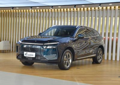 중국 하이 스피드 전기 차량 자동차 웨이 모차 하이4 5석 SUV 뉴 에너지 하이브리드 자동차 판매용