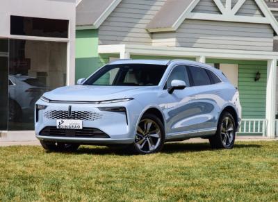 중국 패스트 선박 스마트 스포츠 전기 차량 자동차 웨이 모차 하이4 SUV 신 에너지 하이브리드 가솔린 자동차 판매용