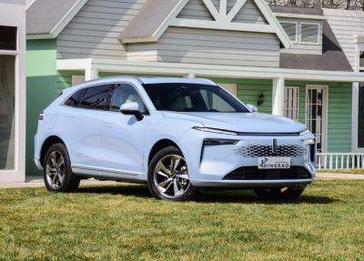 중국 저렴한 신 에너지 자동 자동차 모터 전력 전기 차량 하이브리드 가솔린 연료 자동차 판매용