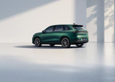 Cina 5 posti Per adulti Turbo Automatico Automatico Leapmotor C10 Veicolo elettrico Suv Nuova auto in vendita